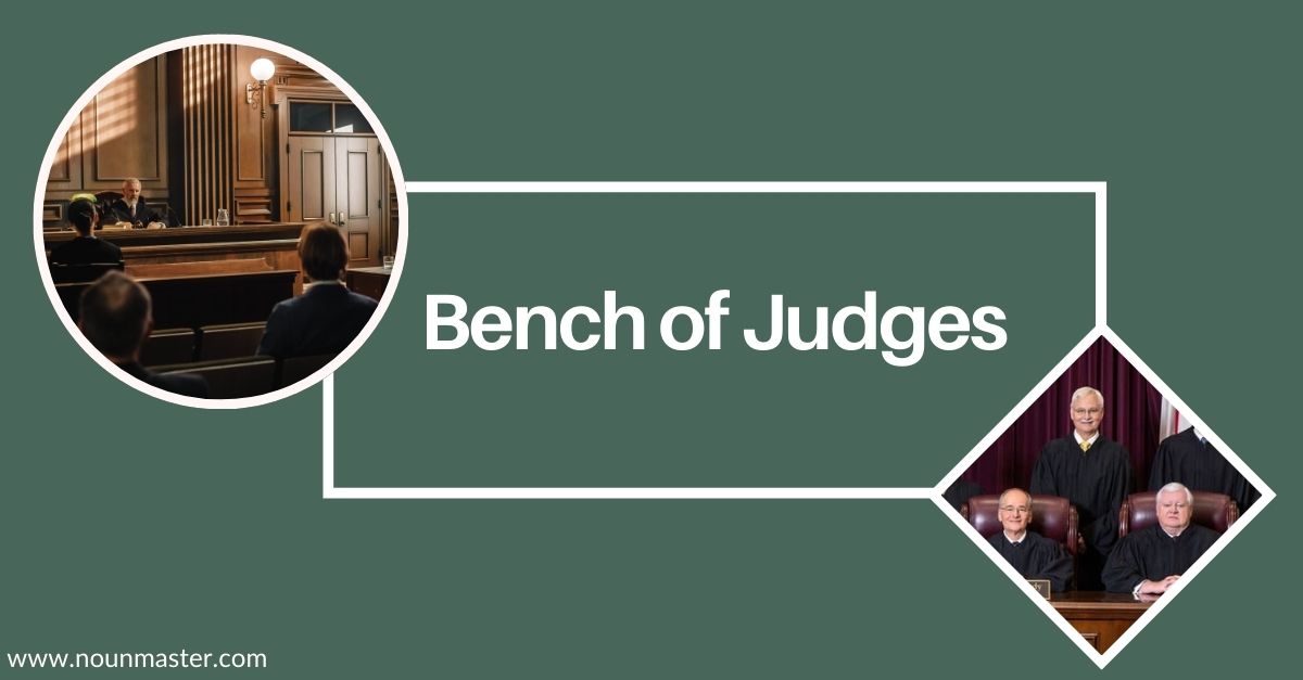Collective Noun of Judges: Discover The Group of Judges Is Called