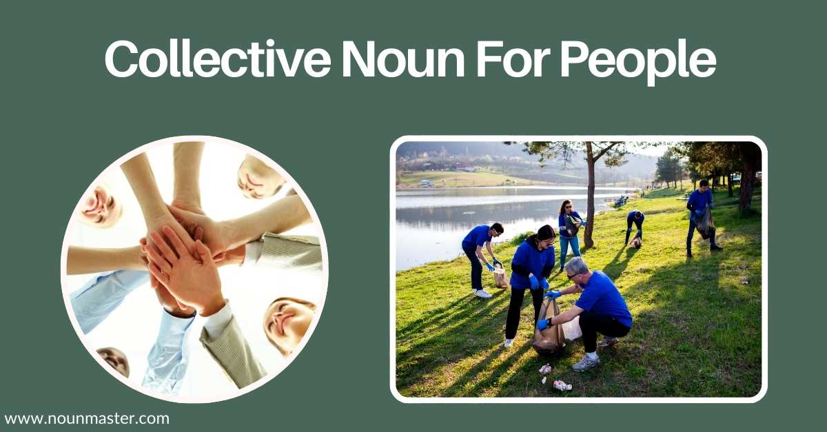 100 Examples of Collective Nouns with Sentences