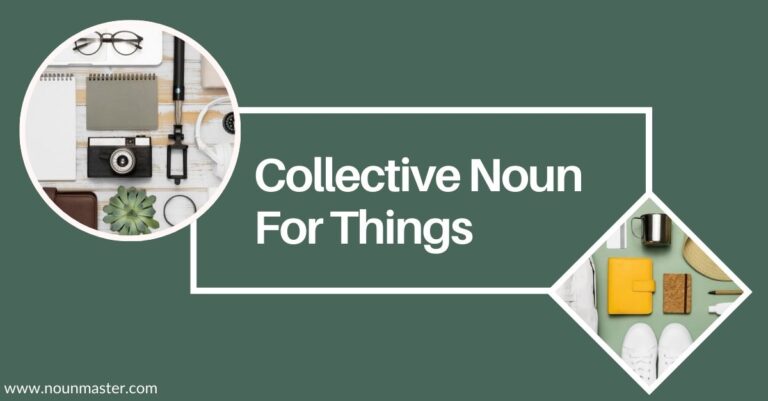 100 Examples of Collective Nouns with Sentences