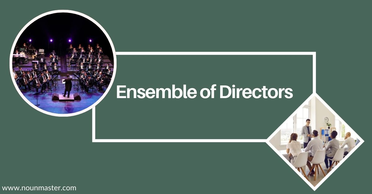 Collective Noun for Directors: Discover the Group of Directors