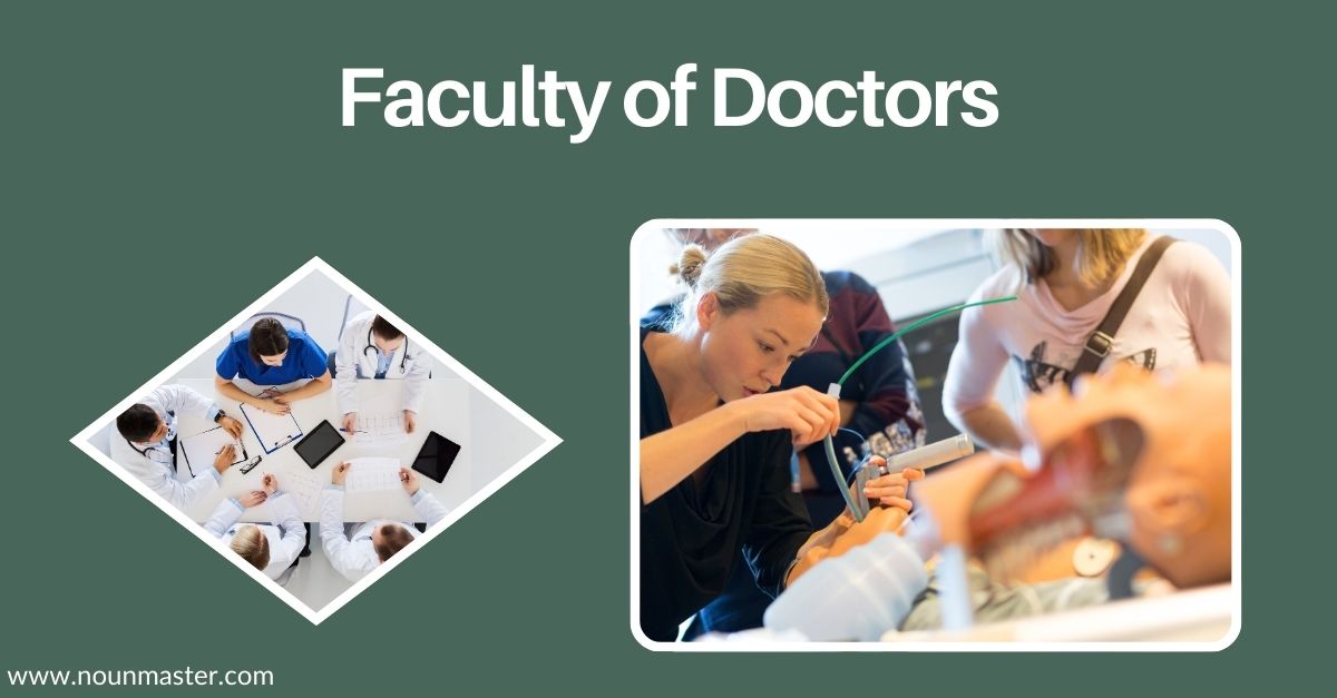 Doctor Is Which Type of Noun? Collective Nouns for Doctors