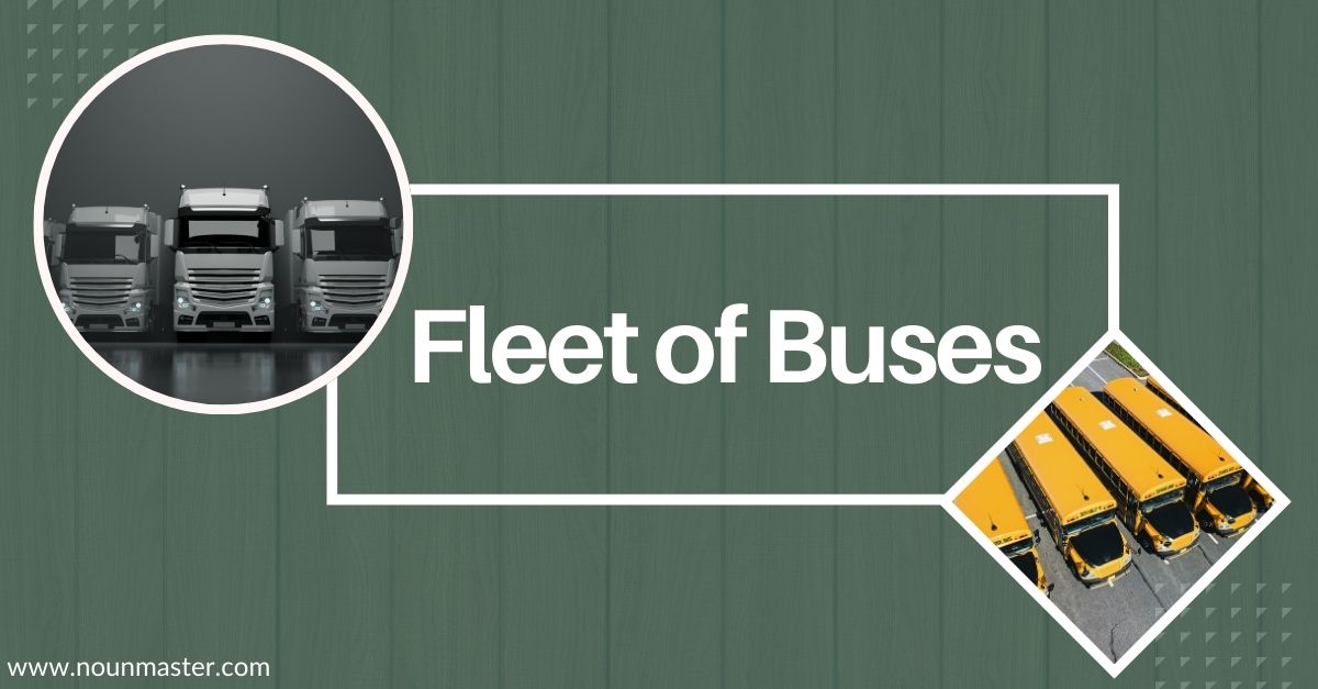 What is the Collective Noun for Buses With Examples