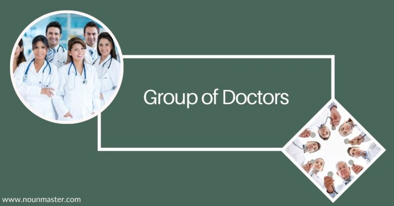 Doctor Is Which Type of Noun? Collective Nouns for Doctors