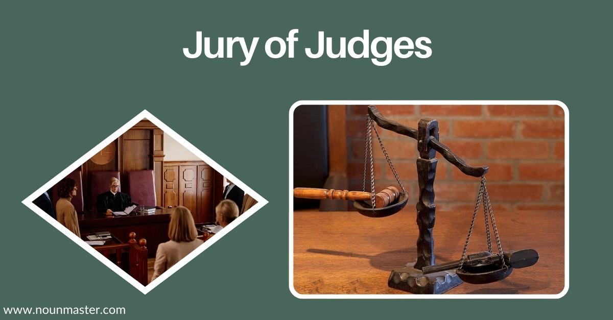 Collective Noun of Judges: Discover The Group of Judges Is Called