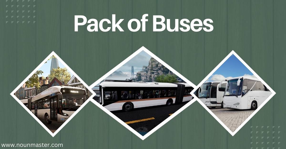 What is the Collective Noun for Buses With Examples