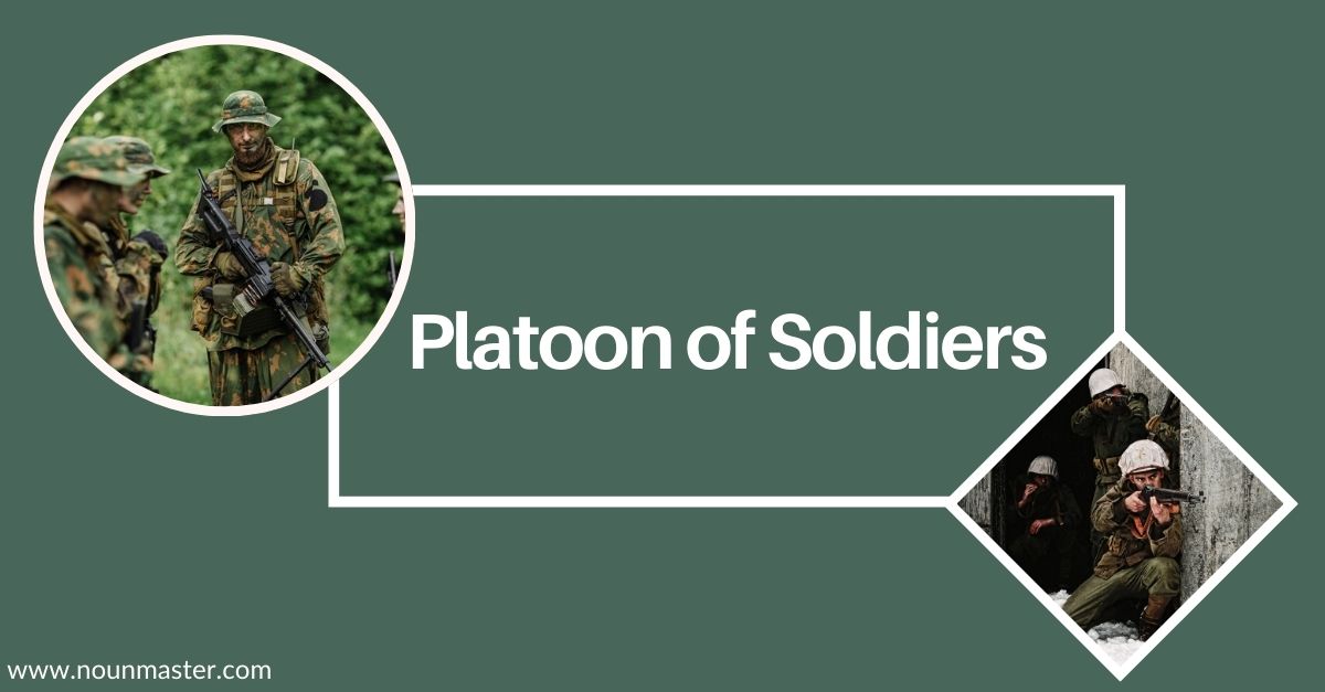 Collective Noun of Soldiers: What a Group of Soldiers is Called?