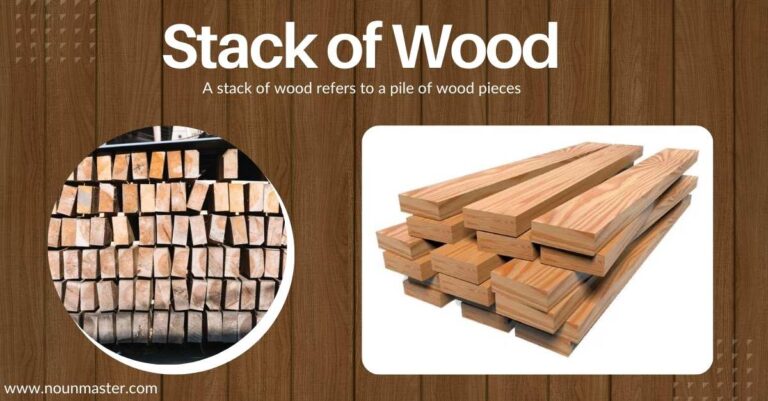 What is the Collective Noun for Wood? Discover a Pile of Terms
