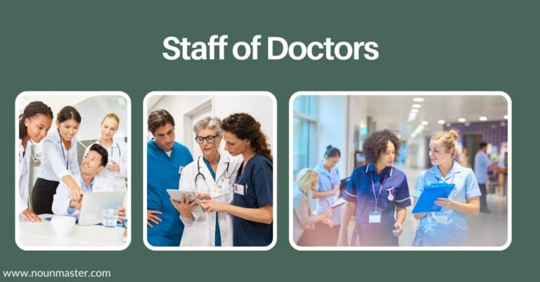 Doctor Is Which Type of Noun? Collective Nouns for Doctors
