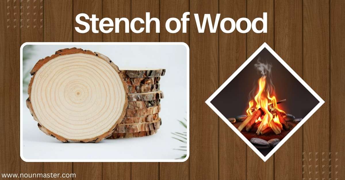 What is the Collective Noun for Wood? Discover a Pile of Terms
