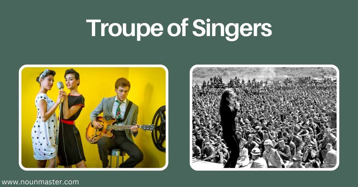 What Is The Collective Noun of Singers?