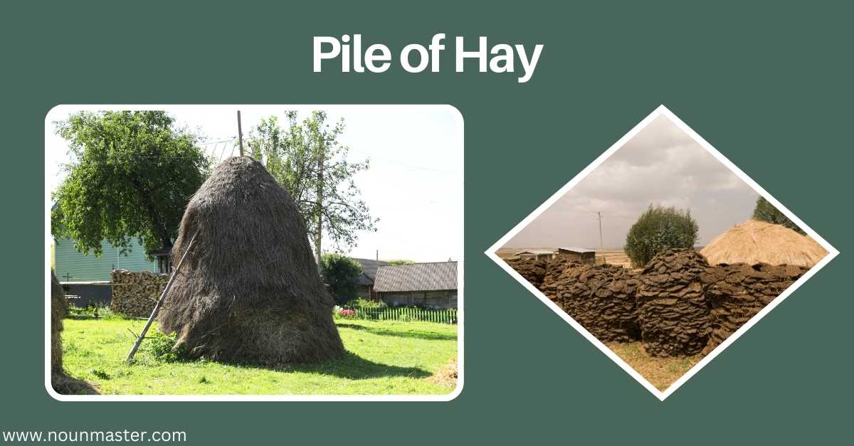 What is the Collective Noun Of Hay?