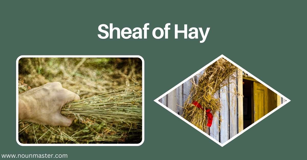 What is the Collective Noun Of Hay?