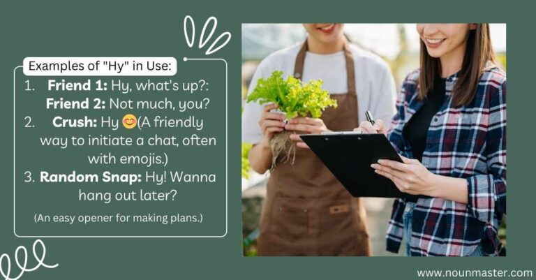 "HY" Meaning: Explore The Definition & Uses in Texts