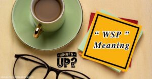 WSP: Explore The WSP Meaning & Texting Slang Explained