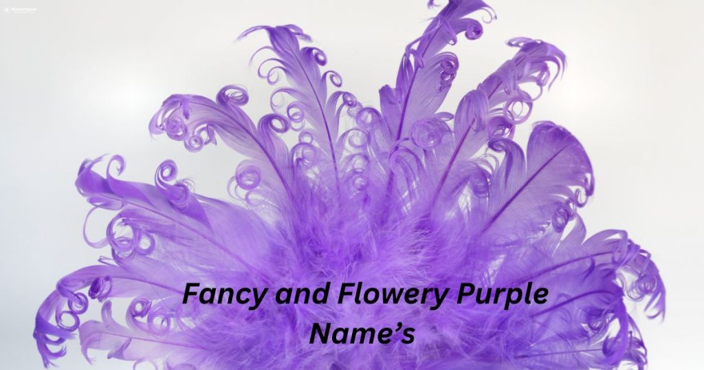 560+ Purple Names Unique Creative Funny Cool Swag & Cute