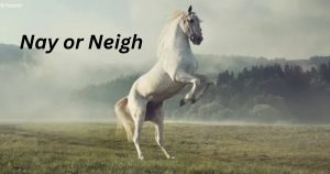 Nay or Neigh: Understanding the Difference and Correct Usage