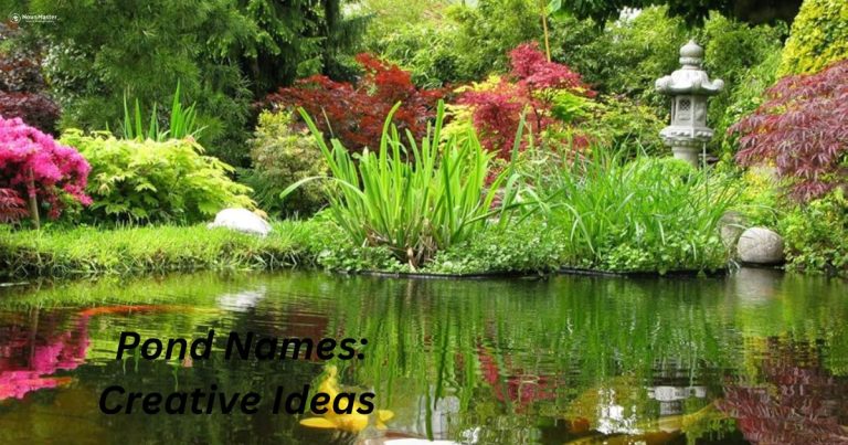 Pond Names: Creative Ideas for Your Tranquil Water Features