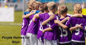 560+ Purple Names Unique Creative Funny Cool Swag & Cute