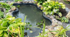 Pond Names: Creative Ideas for Your Tranquil Water Features