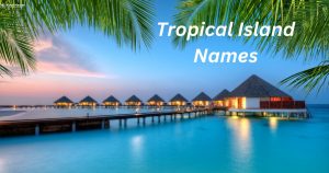 160+ Island Name Generator Ideas (2025)