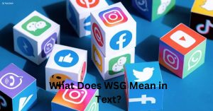WSG Meaning in Text: Understanding the Social Media Acronym - Noun Master