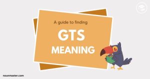 GTS Word Meanings, Uses, and Examples
