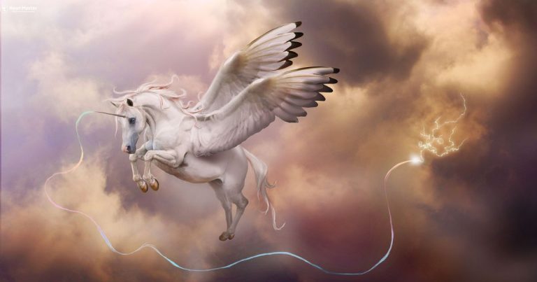 Nay or Neigh: Understanding the Difference and Correct Usage